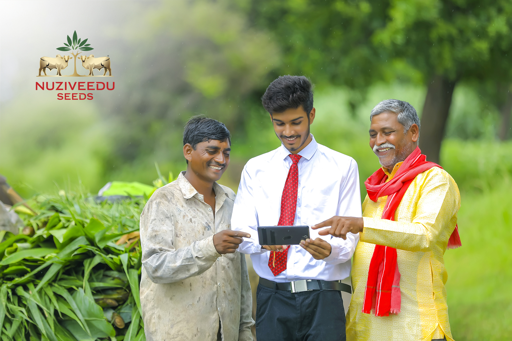 About Us - Nuziveedu Seeds