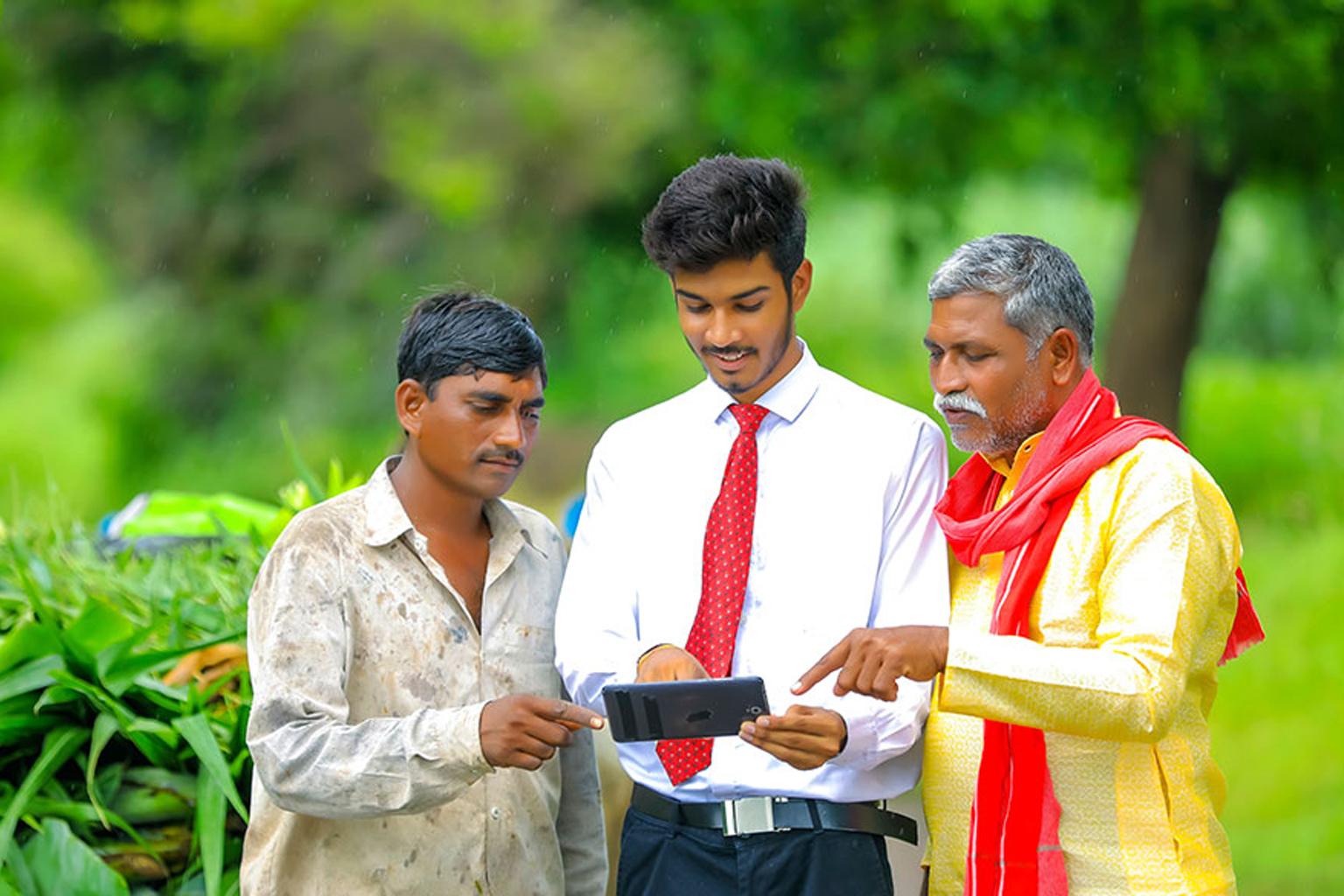 About Us - Nuziveedu Seeds